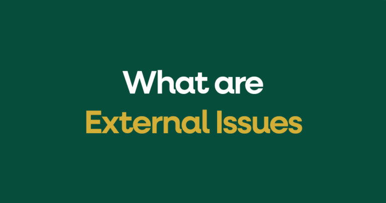 What is ISO 27001 External Issues?