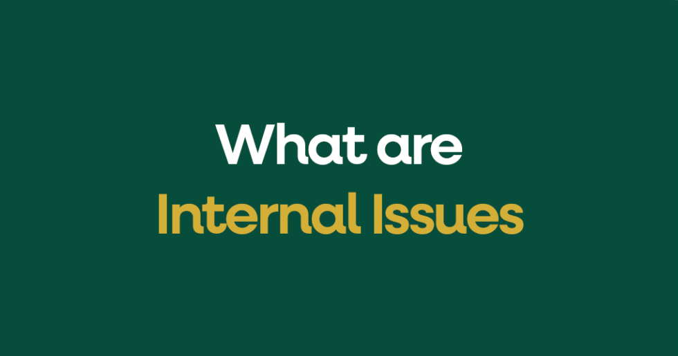 What is ISO 27001 Internal Issues?