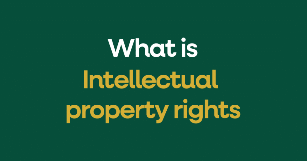 What is ISO 27001 Intellectual Property Rights?